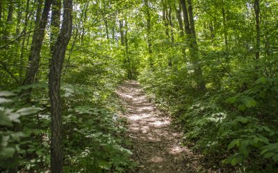 Steuben County, Indiana - The Steuben County Tourism Bureau