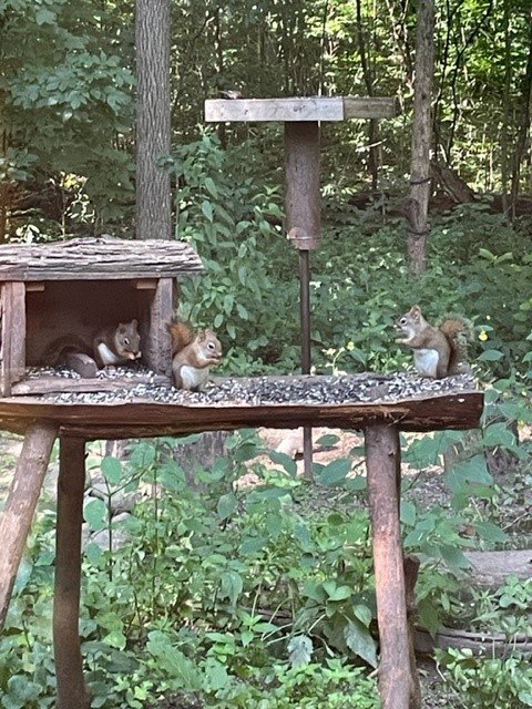 Pokagon State Park Nature Center - Steuben County Tourism Bureau