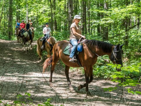 Must Visit Top Attractions, Explore Park, Tourist Places To Visit In ...